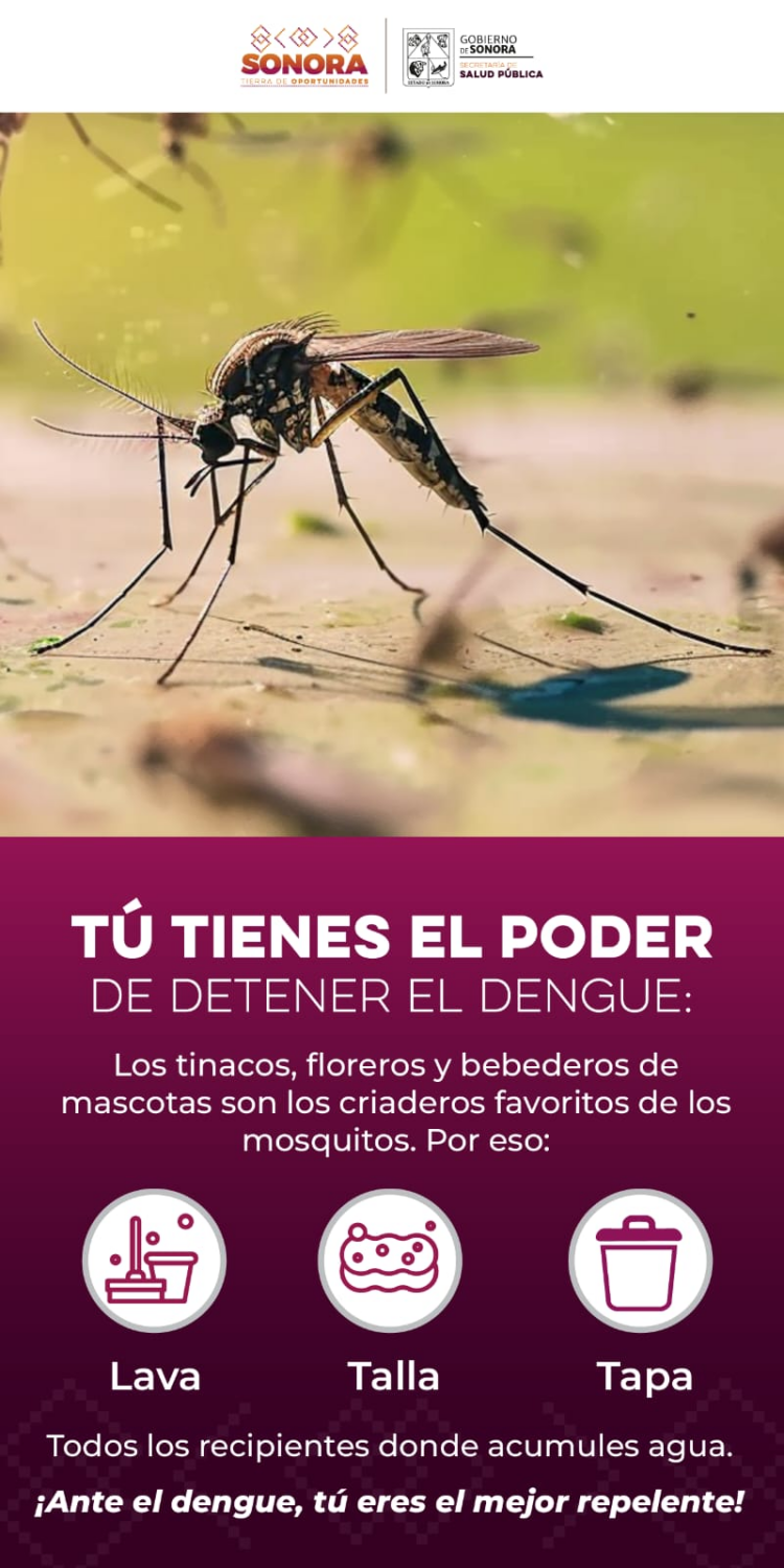 Pronunciamiento de las Gobernadoras y Gobernadores de la Cuarta ...